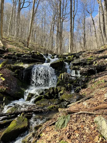 Best Skiing Trails in Blue Knob State Park | AllTrails