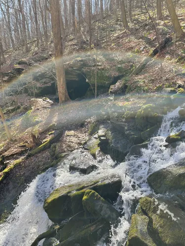 Best Skiing Trails in Blue Knob State Park | AllTrails