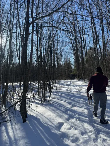 Best Forest Trails in Long Sault Conservation Area | AllTrails