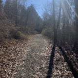 Giuffrida Park Loop, Connecticut - 1,627 Reviews, Map | AllTrails