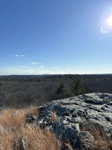 Best Forest Trails in Wakefield | AllTrails