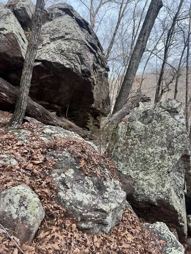 Best Waterfall Trails in Mark Twain National Forest | AllTrails