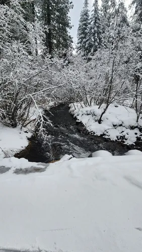 Best Wildlife Trails in Butte Meadows | AllTrails