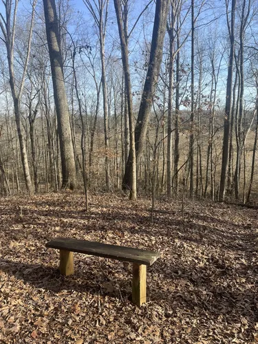 Best Easy Trails in Alpharetta | AllTrails