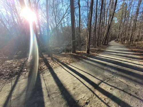Best Hikes and Trails in Robious Landing Park | AllTrails