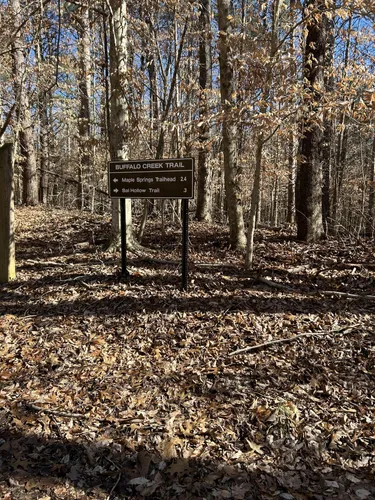 Best Horseback Riding Trails in Mammoth Cave National Park | AllTrails