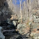 Little Devils Stairs and Piney Branch Loop, Virginia - 577 Reviews, Map ...