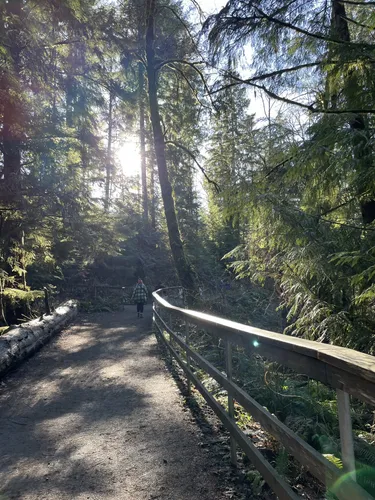 Best Camping Trails in Campbell River | AllTrails