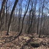 Pulpit Rock and Pinnacle Loop, Pennsylvania - 3,419 Reviews, Map ...