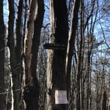 Pulpit Rock and Pinnacle Loop, Pennsylvania - 3,419 Reviews, Map ...