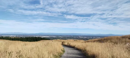 Best Hikes and Trails in Christchurch Adventure Park | AllTrails