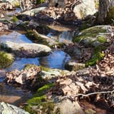 Silver Mine Trail, Missouri - 254 Reviews, Map | AllTrails