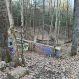 Scotia Barrens, Pennsylvania - 235 Reviews, Map | AllTrails