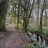 Mima Falls Loop, Washington - 1,410 Reviews, Map | AllTrails
