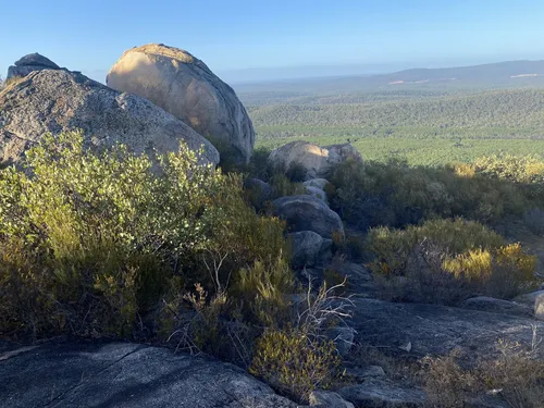 Best Hikes and Trails in Darling Range | AllTrails