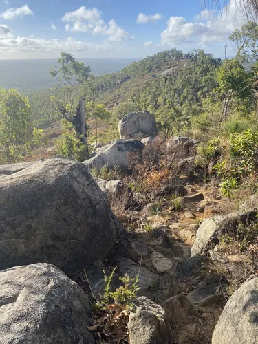 Best Hikes and Trails in Darling Range | AllTrails