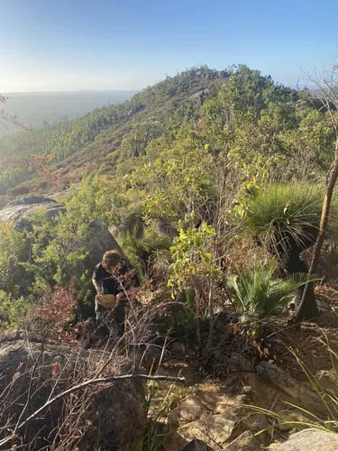 Best Hikes and Trails in Darling Range | AllTrails