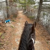 Burrage Pond Loop, Massachusetts - 444 Reviews, Map | AllTrails
