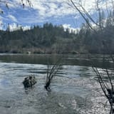 East Ridge and Cronan Ranch Loop, California - 1,123 Reviews, Map ...