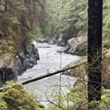 Boulder River Trail, Washington - 1,679 Reviews, Map | AllTrails