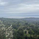 Inspiration Point, California - 3,859 Reviews, Map | AllTrails