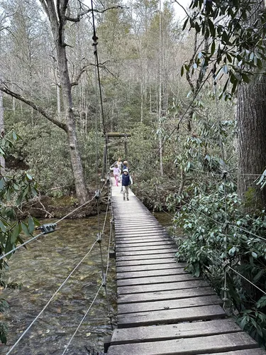 Best Kid Friendly Trails in Mills River | AllTrails