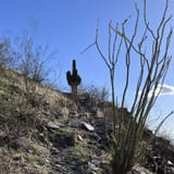 Dreamy Draw Loop Trail, Arizona - 1,083 Reviews, Map | AllTrails