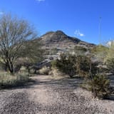 Dreamy Draw Loop Trail, Arizona - 1,166 Reviews, Map | AllTrails
