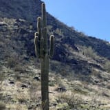 Dreamy Draw Loop Trail, Arizona - 1,166 Reviews, Map | AllTrails