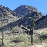 Dreamy Draw Loop Trail, Arizona - 1,166 Reviews, Map | AllTrails
