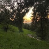 Murphy Ranch Trail , California - 1,429 Reviews, Map | AllTrails