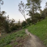 Murphy Ranch Trail , California - 1,429 Reviews, Map | AllTrails