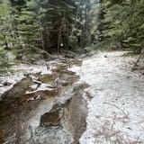 Hunter Creek Trail, Nevada - 4,318 Reviews, Map | AllTrails