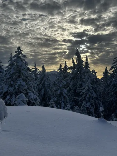 Best Hikes and Trails in Lead Mine State Forest | AllTrails