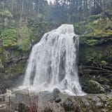 Little Mashel Falls Trail via Bud Blancher Trail, Washington - 3,168 ...