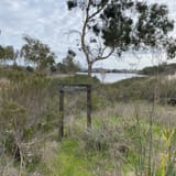 Lake Murray Trail, California - 3,896 Reviews, Map | AllTrails