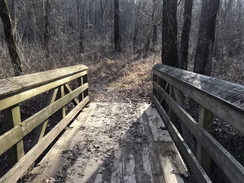 Best Horseback Riding Trails in Mammoth Cave National Park | AllTrails