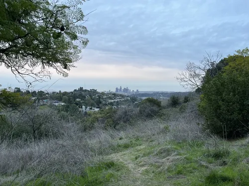 Best Hikes and Trails in Rose Hill Park | AllTrails