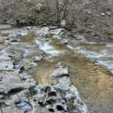 Walls of Jericho Trail, Alabama - 2,226 Reviews, Map | AllTrails
