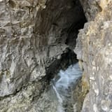 Walls of Jericho Trail, Alabama - 2,226 Reviews, Map | AllTrails