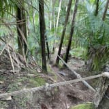 Sigua Falls, Agana Heights, Guam - 566 Reviews, Map | AllTrails