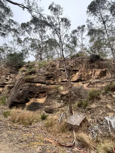 Best Hikes and Trails in Knocklofty Reserve | AllTrails