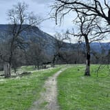 Pa'san Ridge Trail, California - 872 Reviews, Map | AllTrails