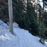 Umbrella and Sahale Falls Loop, Oregon - 1,858 Reviews, Map | AllTrails