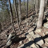 Spruce Flats Falls Trail, Tennessee - 2,686 Reviews, Map | AllTrails