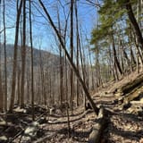 Spruce Flats Falls Trail, Tennessee - 2,686 Reviews, Map | AllTrails