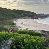Tomaree Coastal Walk, New South Wales, Australia - 88 Reviews, Map ...
