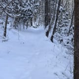 Bad Branch Trail, Kentucky - 192 Reviews, Map | AllTrails