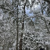 Bad Branch Trail, Kentucky - 192 Reviews, Map | AllTrails