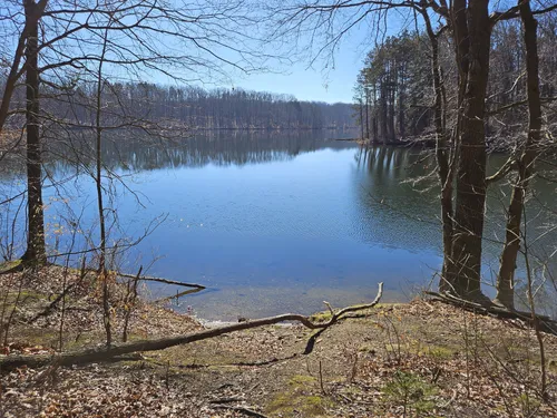 Best Forest Trails in Mogadore | AllTrails